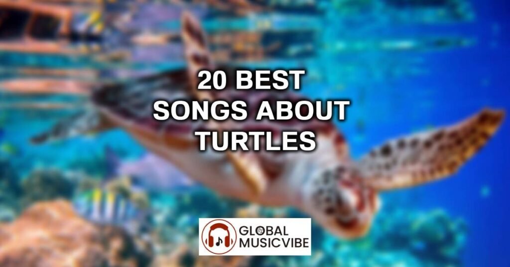 20 Best Songs About Turtles